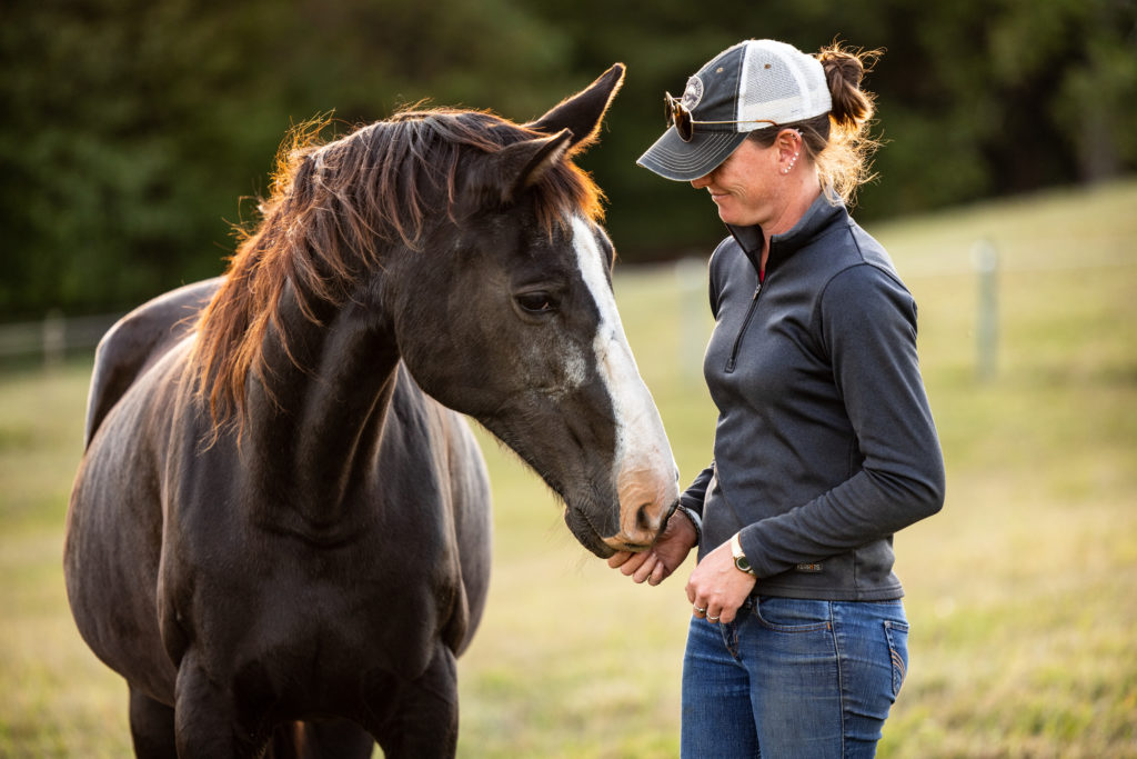 Adoption Process - Days End Farm Horse Rescue