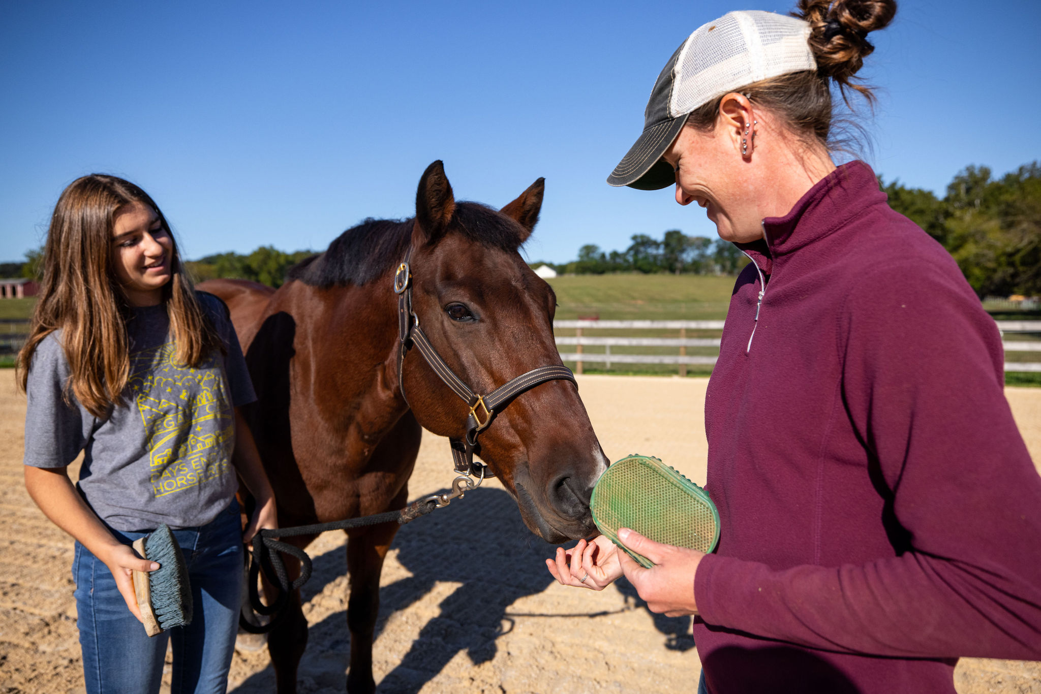 Internships - Days End Farm Horse Rescue