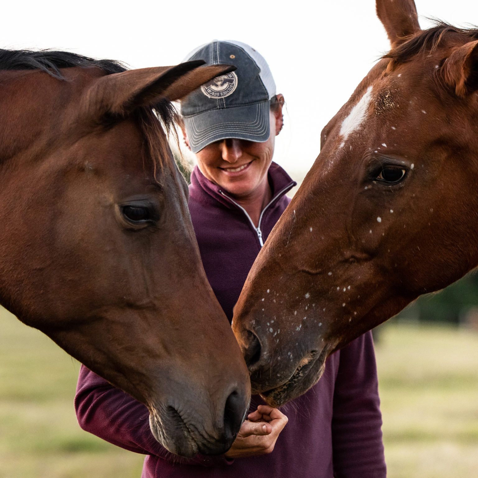 Owner Assistance - Days End Farm Horse Rescue